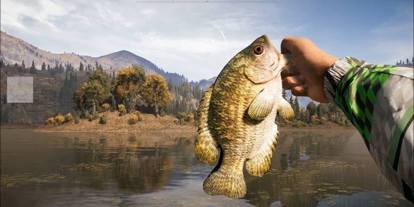 Far Cry 5: Every Fishing Record & Where To Beat Them