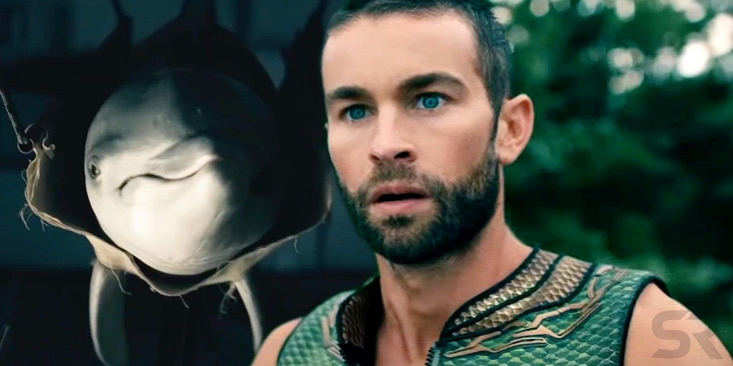 The Boys Season 4 Cast & Character Guide: Every New & Returning Character