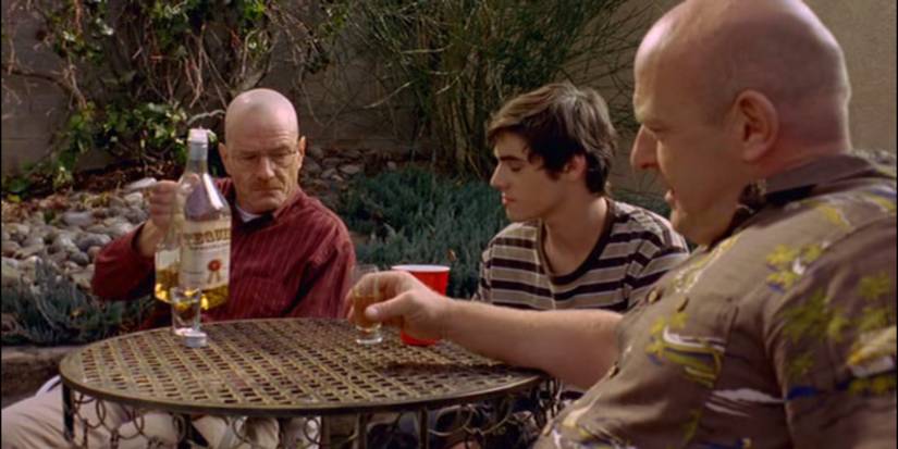 Breaking Bad: Walter Jr.'s 10 Best Quotes