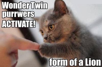 10 Funniest Wonder Twins Powers Activate Memes That Make Us Laugh
