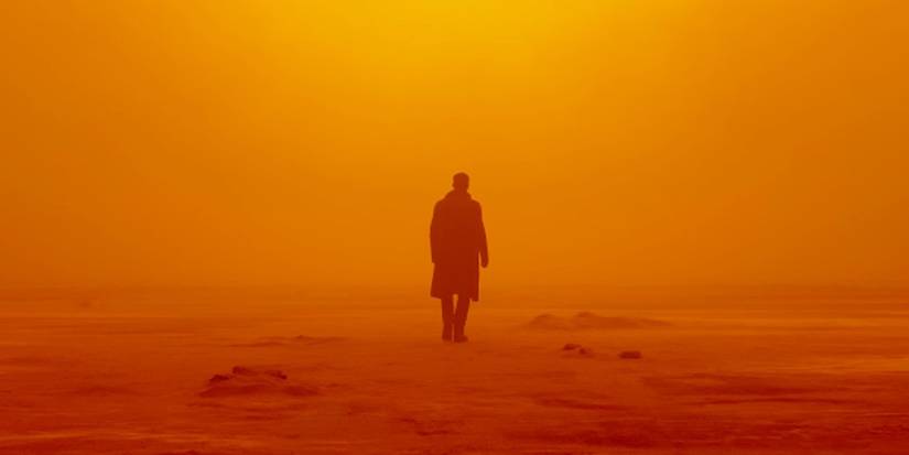 The 10 Cinematographers With The Most Oscar Nominations