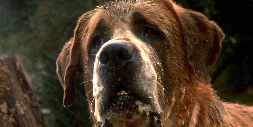 Cujo vs. Church: Which Evil Stephen King Animal Is a Better Villain