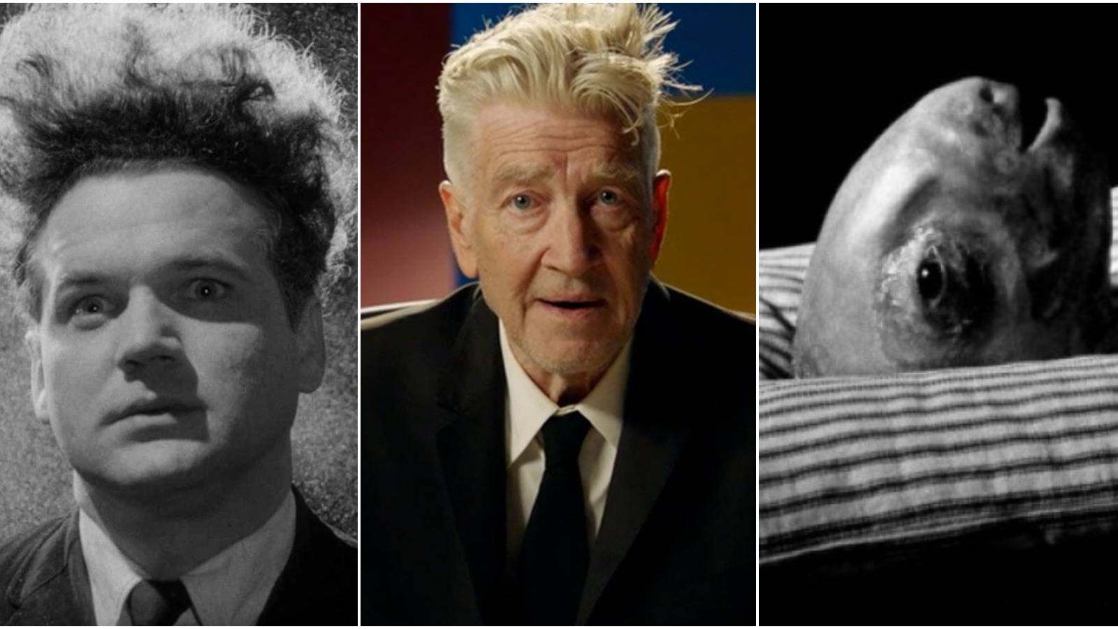 Eraserhead: 10 Behind-The-Scenes Facts About David Lynch's Surreal ...
