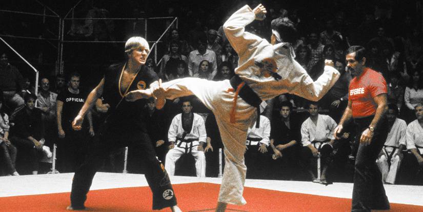 Cobra Kai: Why Daniel's Karate Kid Crane Kick Was Illegal