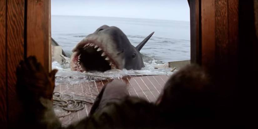 Strangest Behind The Scenes Stories From Jaws