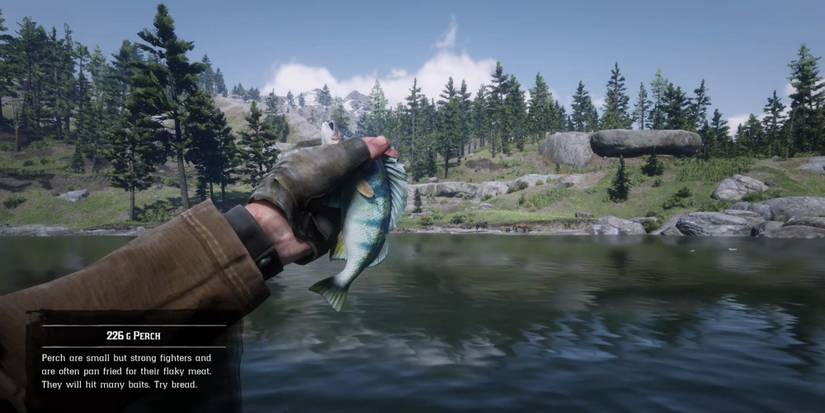 RDR2: 10 Perfect Ways To Say Goodbye Before Arthur's Last Ride