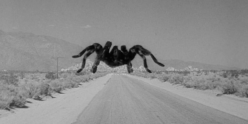 10 Scariest Spiders In Horror Movies, Ranked