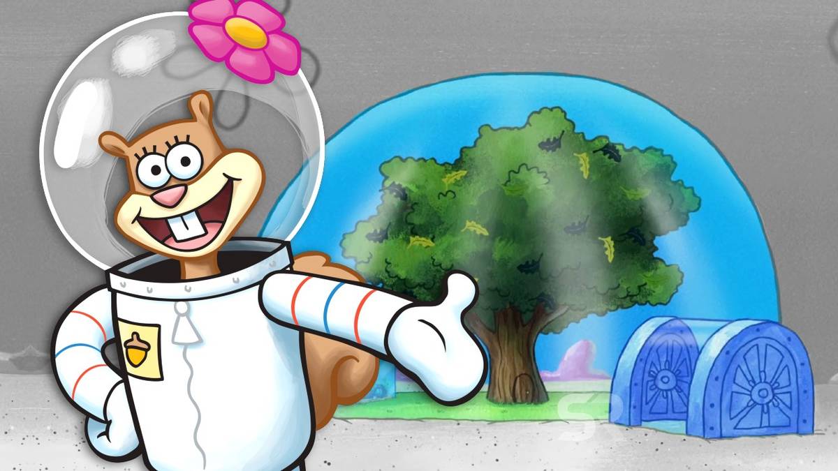 SpongeBob SquarePants: How Sandy's House Keeps Changing (& Why)