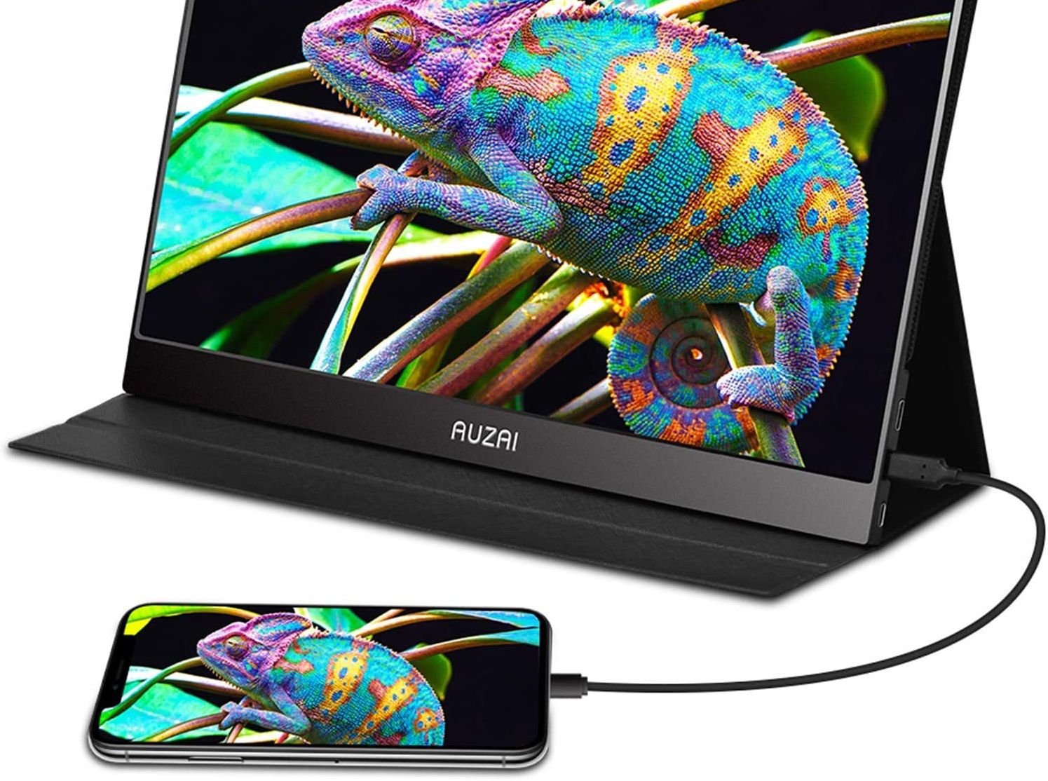 Best Portable Monitors (Updated 2021)