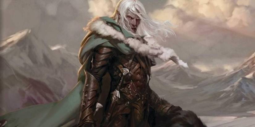 10 Epic Sword Fights In Drizzt's Books We Want To See In Live-Action
