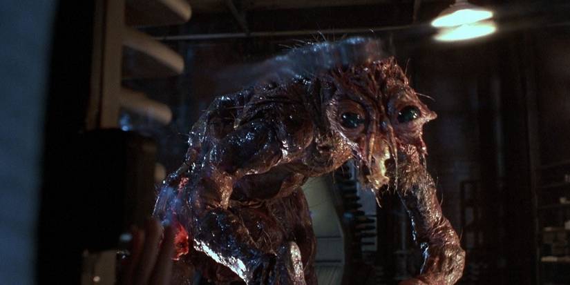 10 Behind-The-Scenes Facts About The Fly (1986)