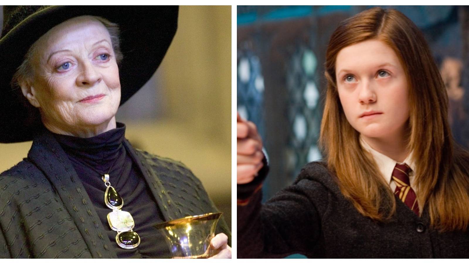 Harry Potter: 10 Best Supporting Characters, Ranked