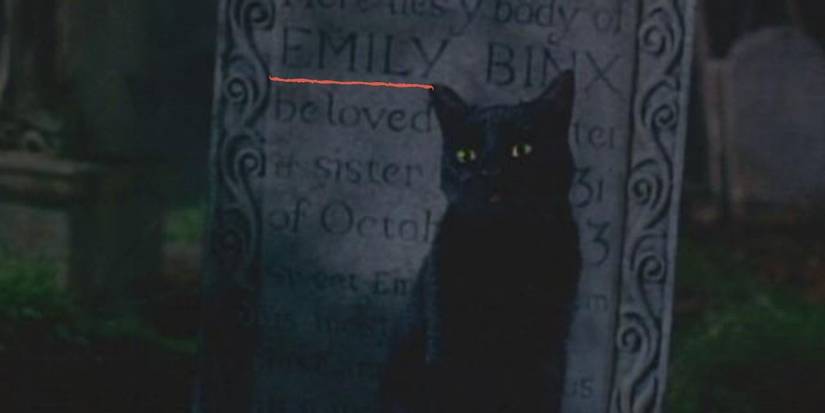 10 Hidden Details Fans Never Noticed In Hocus Pocus
