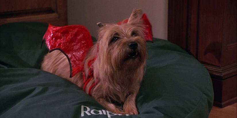 10 Hidden Details Fans Never Noticed In Hocus Pocus