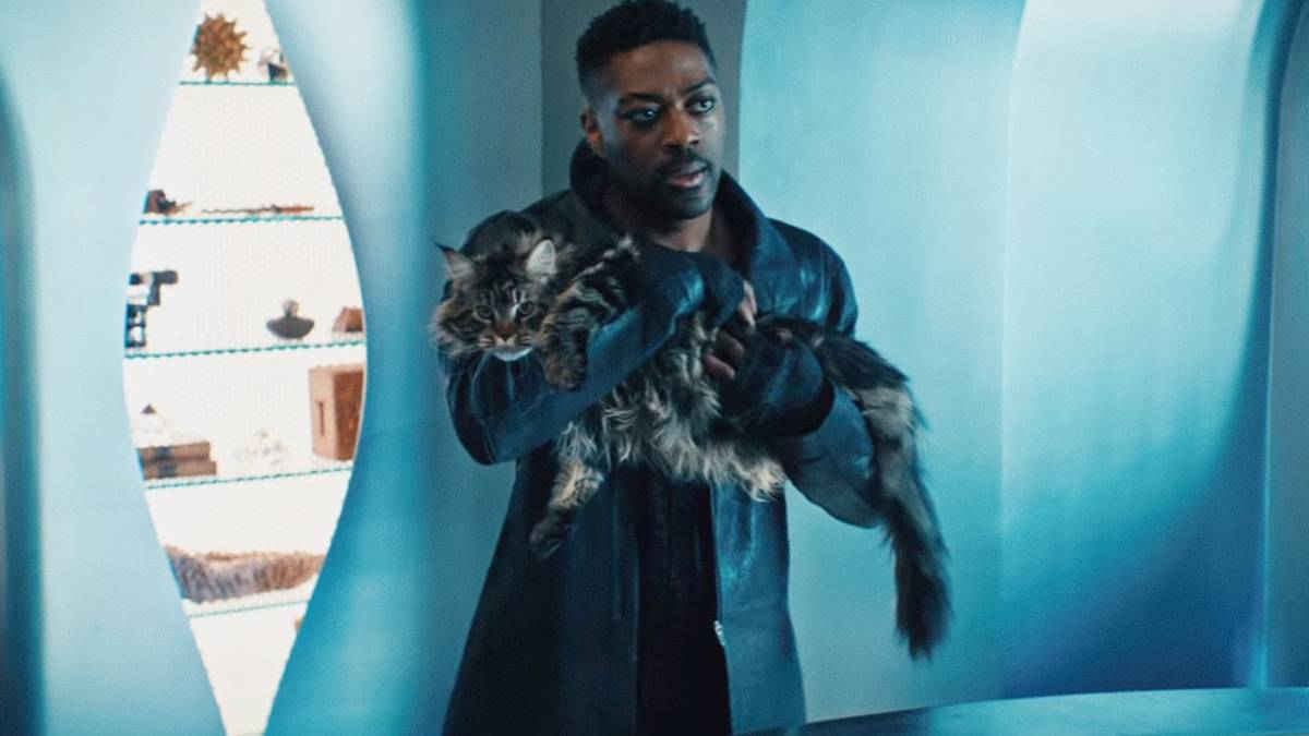 Star Trek: Discovery Season 3 Will Contain More Grudge The Cat