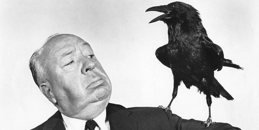 10 Things You Never Knew About Alfred Hitchcock's The Birds