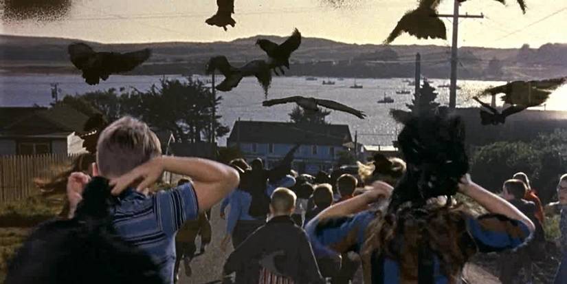 10 Things You Never Knew About Alfred Hitchcock's The Birds