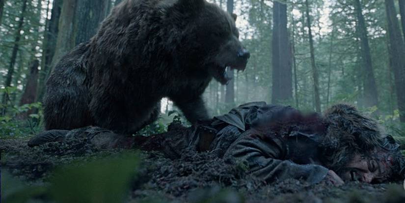 5 Best Animated Bears In Movies (& 5 Worst), Ranked By IMDb