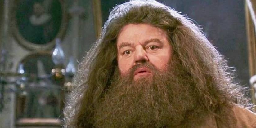 Harry Potter: Hagrid's 5 Greatest Strengths (& 5 Weaknesses)