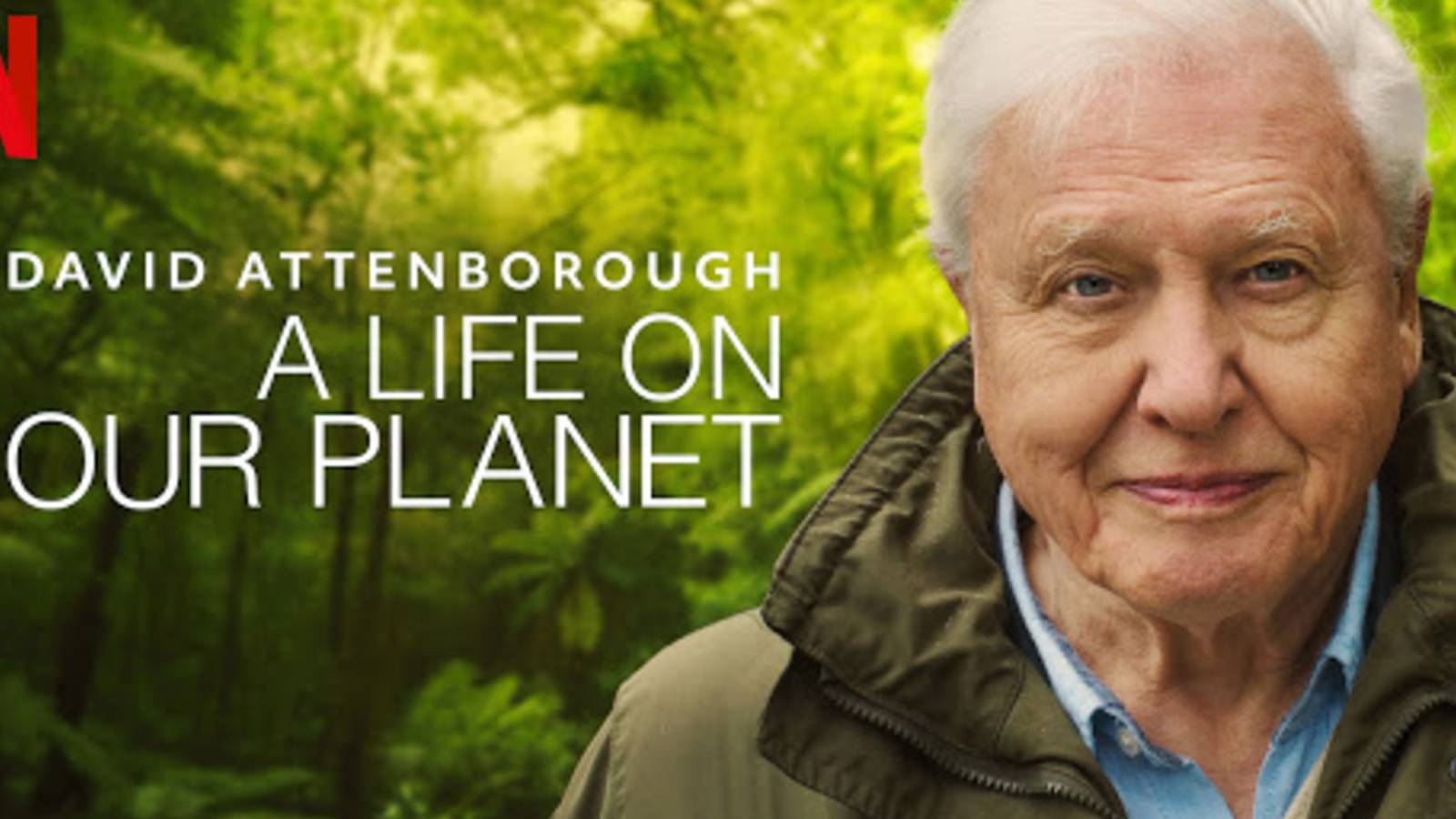 A Life On Our Planet: 10 Behind The Scenes Facts You Need To Know