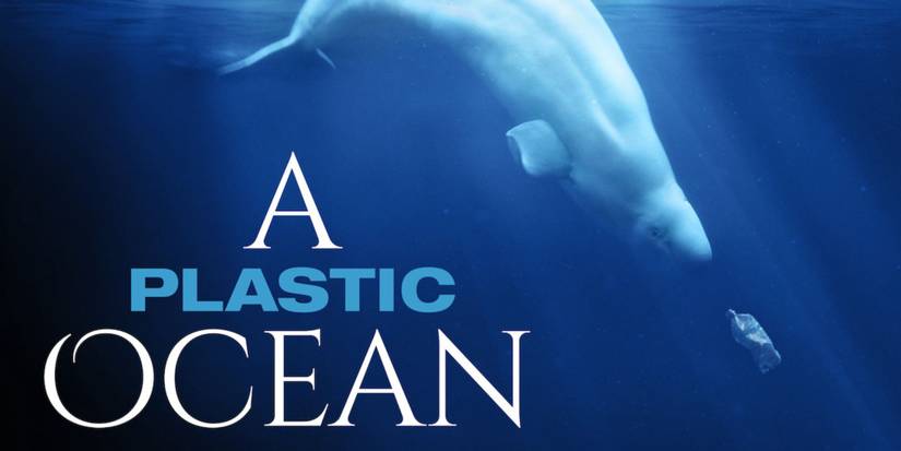A Life On Our Planet: 10 Similarly Fascinating Documentaries To Watch