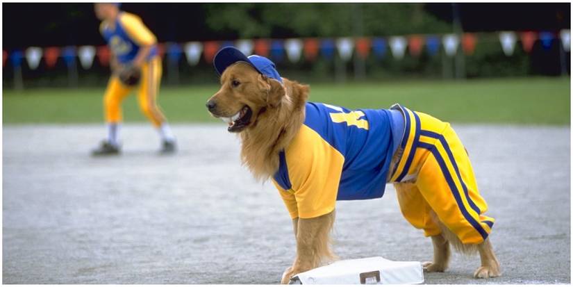 Every Disney Movie About Baseball, Ranked By IMDb