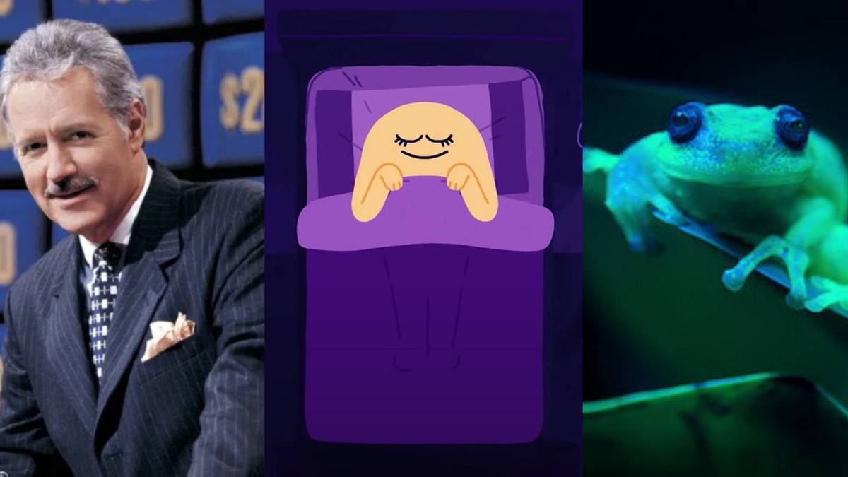 50 Best Shows On Netflix To Fall Asleep To