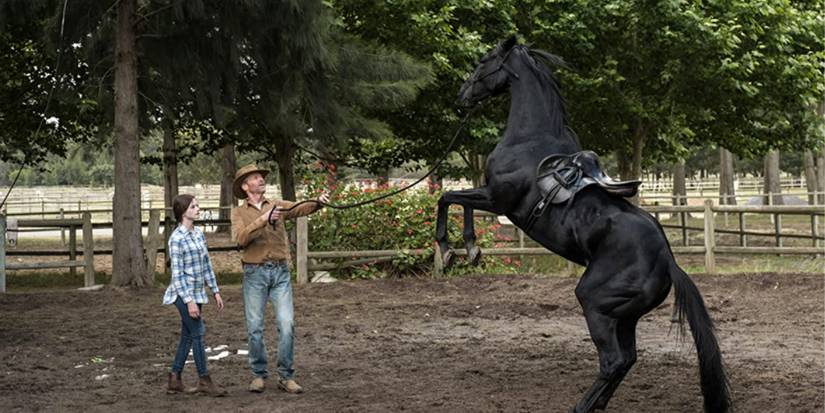 Disney+'s Black Beauty: Biggest Differences To The Book