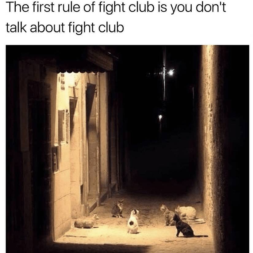 10 Hilarious Fight Club Memes