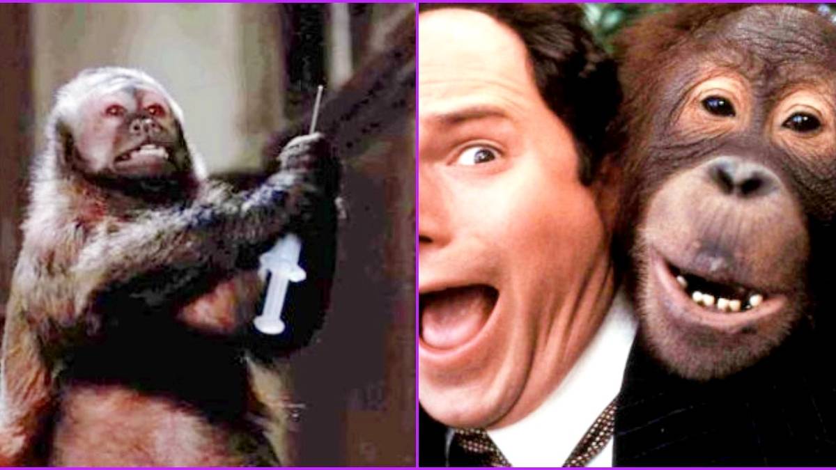 10 Best Monkey Appearances In Movies (Ranked By IMDb)