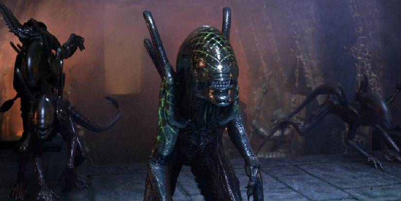 Alien: Every Xenomorph In The Franchise, Ranked