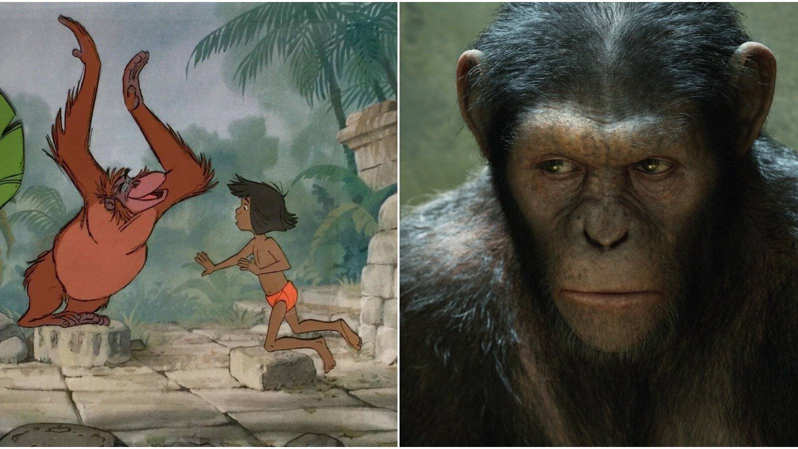 Monkey Business: 10 Best Monkeys In Movie History, Ranked