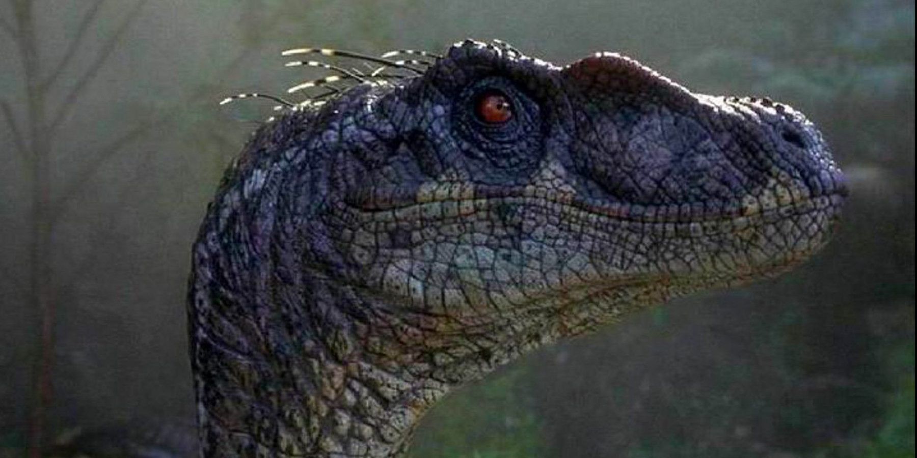 Why Jurassic Park 3's Raptors Are Completely Different
