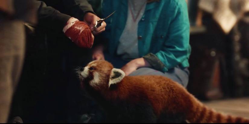 His Dark Materials: Why Daemons Can’t Touch Other People