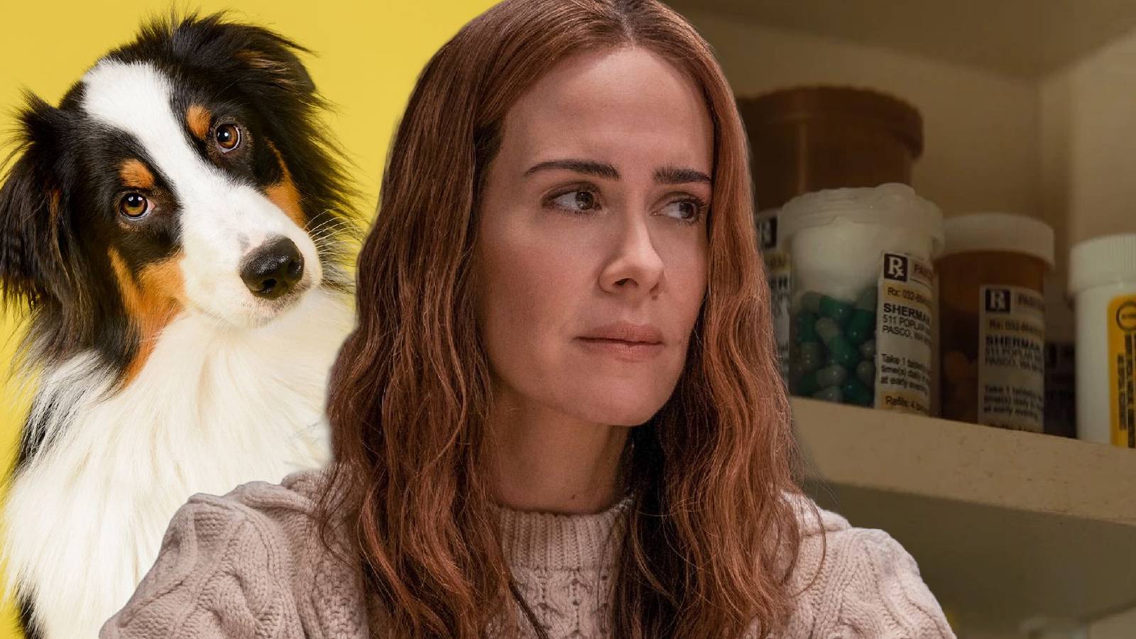 Run Movie Plot Hole: Where's The Family Dog?