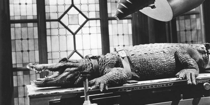 10 So-Bad-They're-Good Killer Reptile & Amphibian Horror Movies