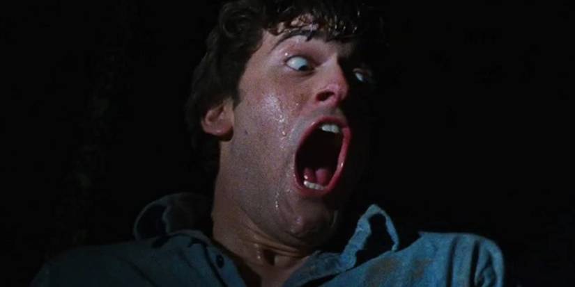 The 10 Best B-Movies Of All Time, Ranked (According To IMDb)