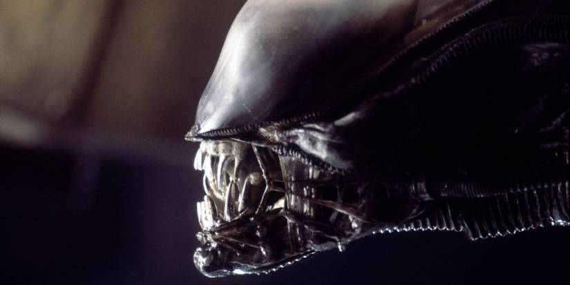 Alien: Why Ripley Is A Perfect Protagonist (& The Xenomorph Is A ...