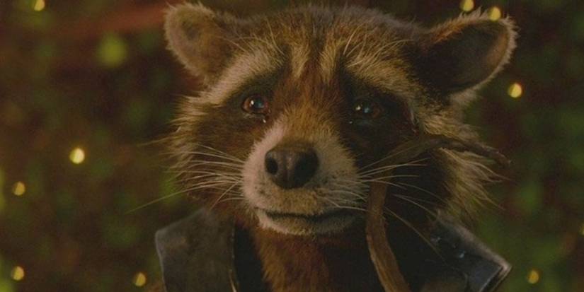 10 Quotes That Prove Rocket Raccoon Is The Saddest Guardian Of The Galaxy