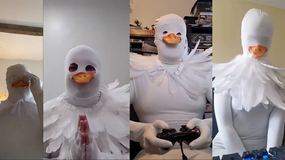 Fall Guys Looks Set For An Untitled Goose Game Crossover