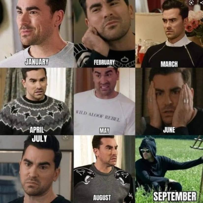 Schitt's Creek: 10 David Rose Memes Only True Fans Will Understand