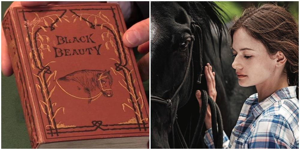 Black Beauty (2020): 5 Things It Changed From The Original Novel (& 5 ...