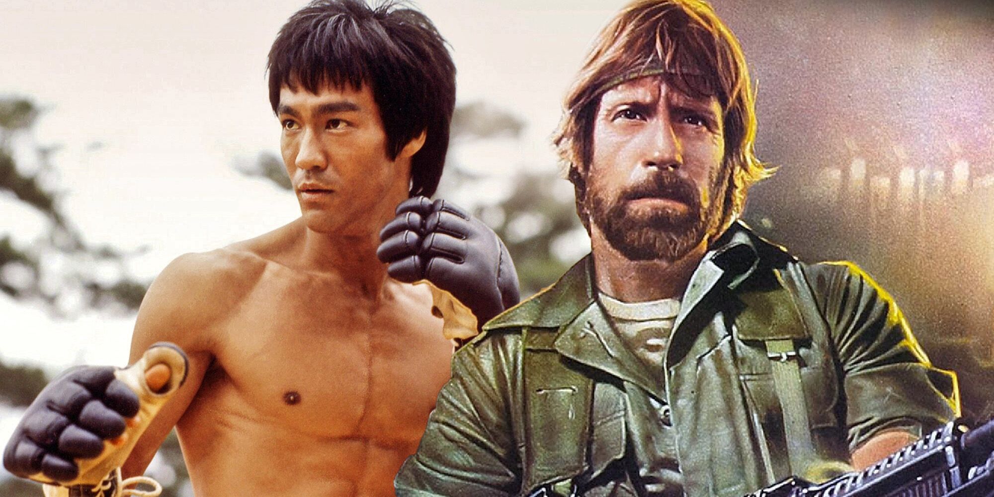 Bruce Lee Tritt Chuck Norris