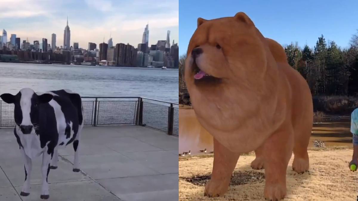Google Adds 50 New AR Animals To Search: How To Find & Use Them