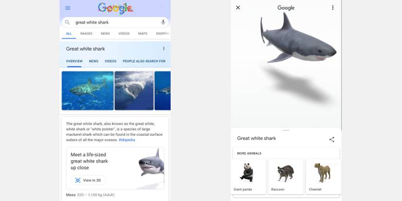 Google Adds 50 New AR Animals To Search: How To Find & Use Them