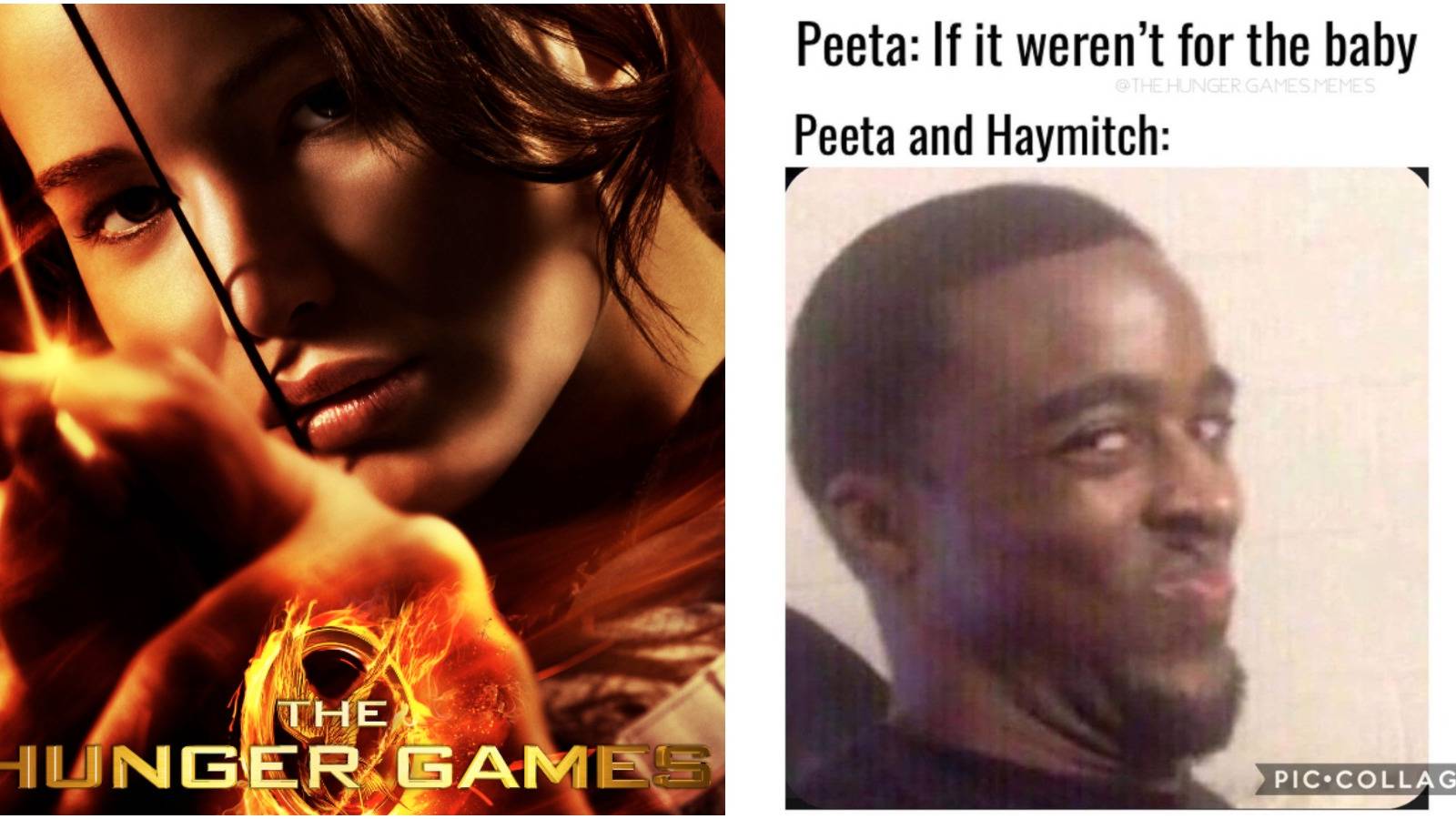 The Hunger Games: 10 Memes That Are Too Good To Forget