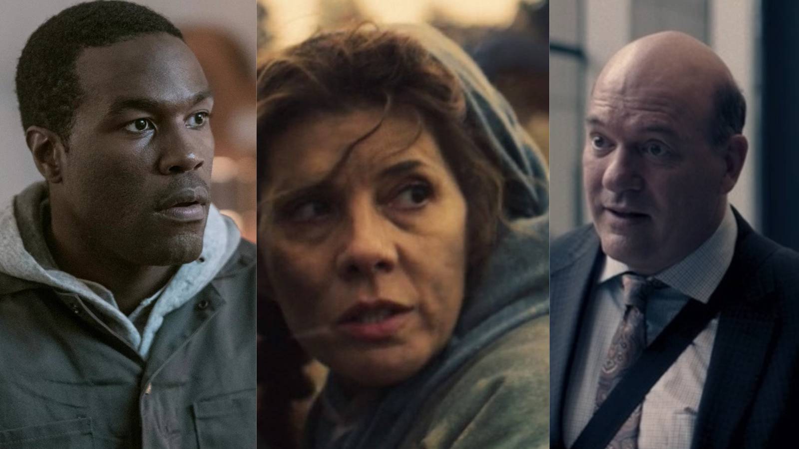 The Handmaid's Tale: Marisa Tomei & 14 Other Actors You Forgot Guest ...