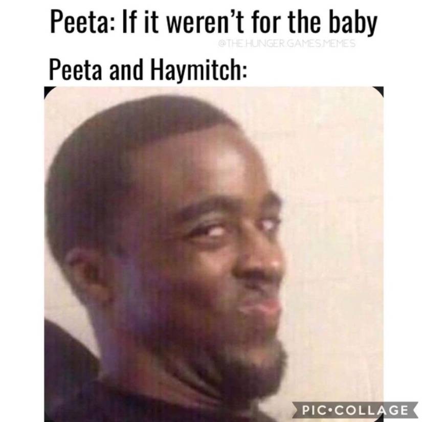 The Hunger Games: 10 Memes That Are Too Good To Forget