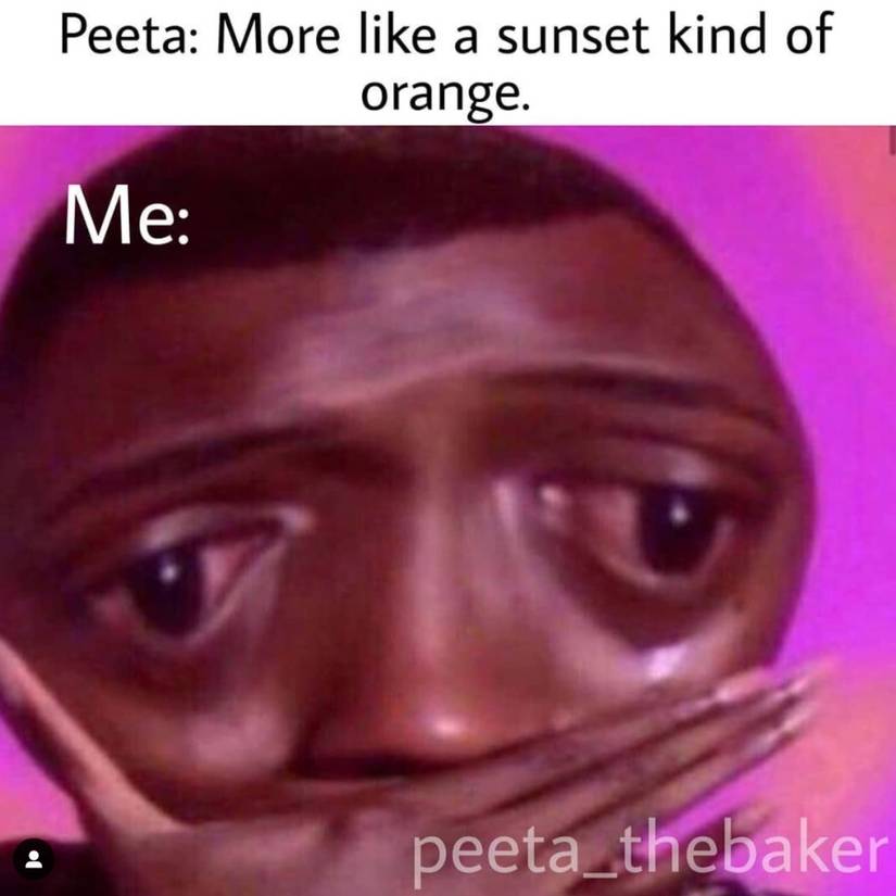 The Hunger Games: 10 Memes That Are Too Good To Forget