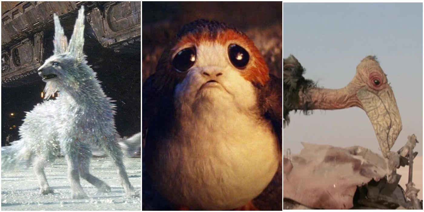 Star Wars: Porgs (& 9 Other Species The Sequel Trilogy Introduced)
